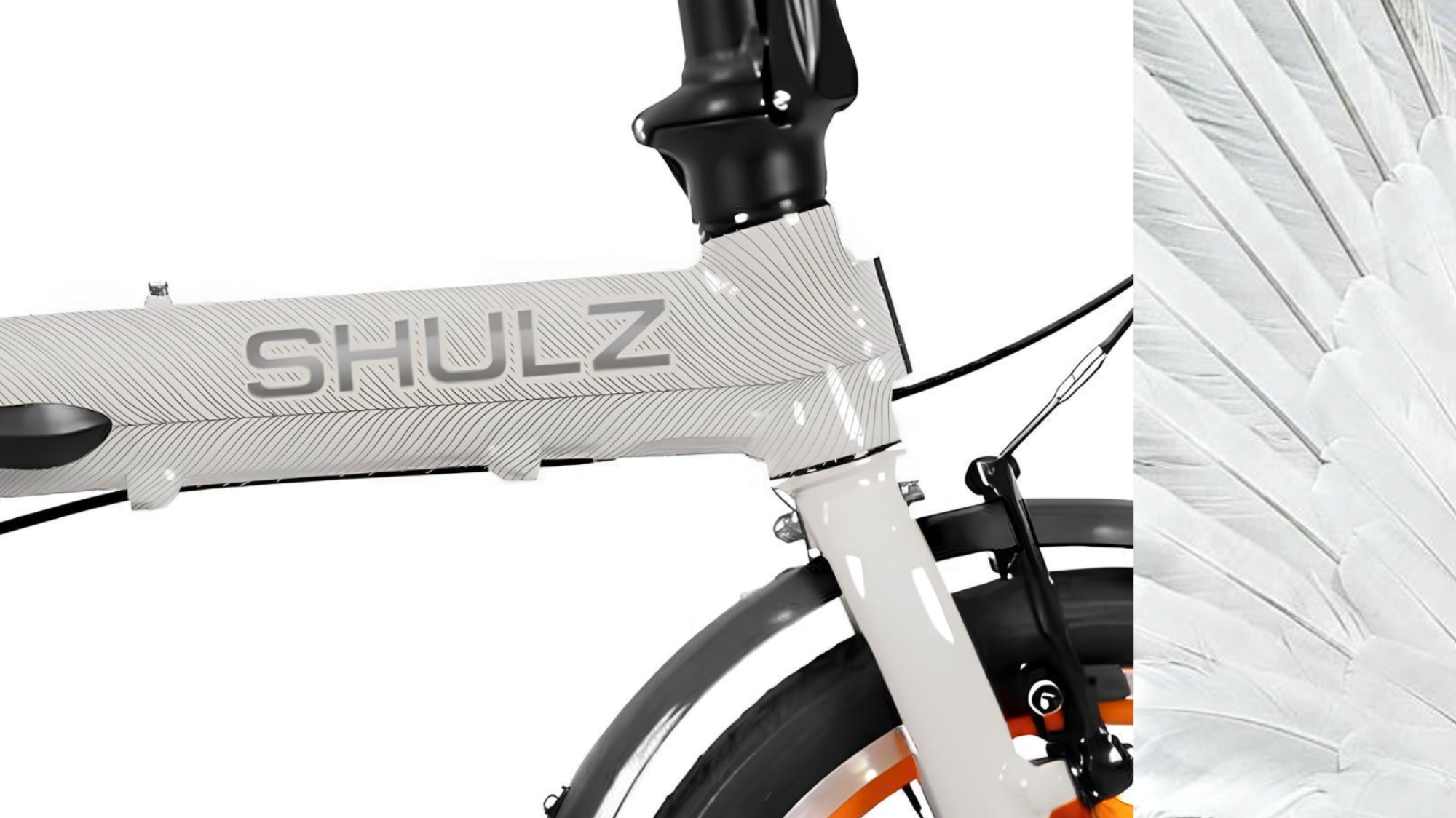 SHULZ-Чайка и SHULZ-Ватерлиния! — SHULZ & STRIDA ЖУРНАЛ